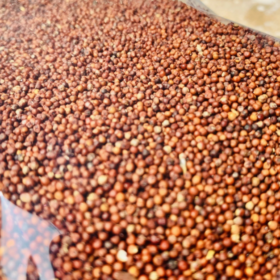 Natural Pure Pahadi Products - IndShopClub